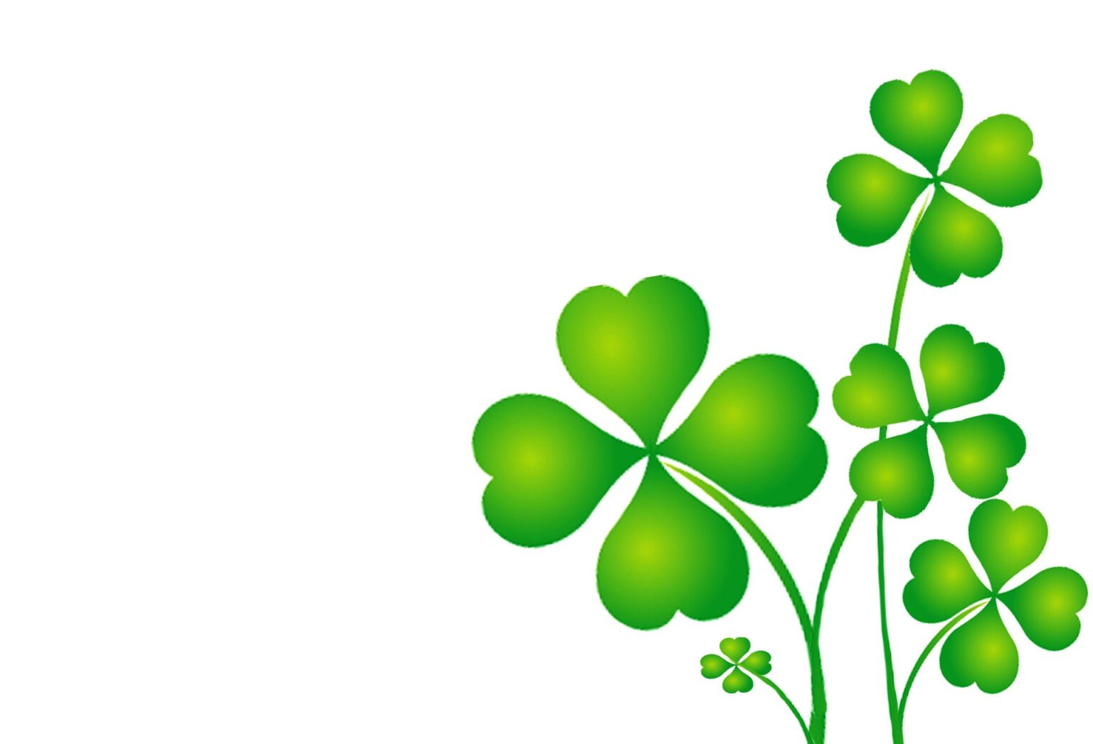 How to Draw a Shamrock Step By Step – For Kids & Beginners