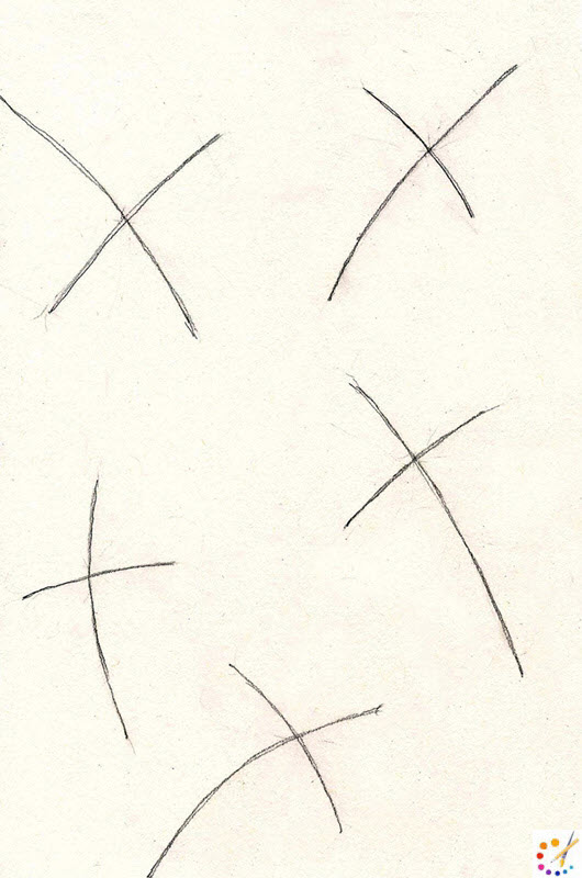 How to Draw a Shamrock Step By Step – For Kids & Beginners