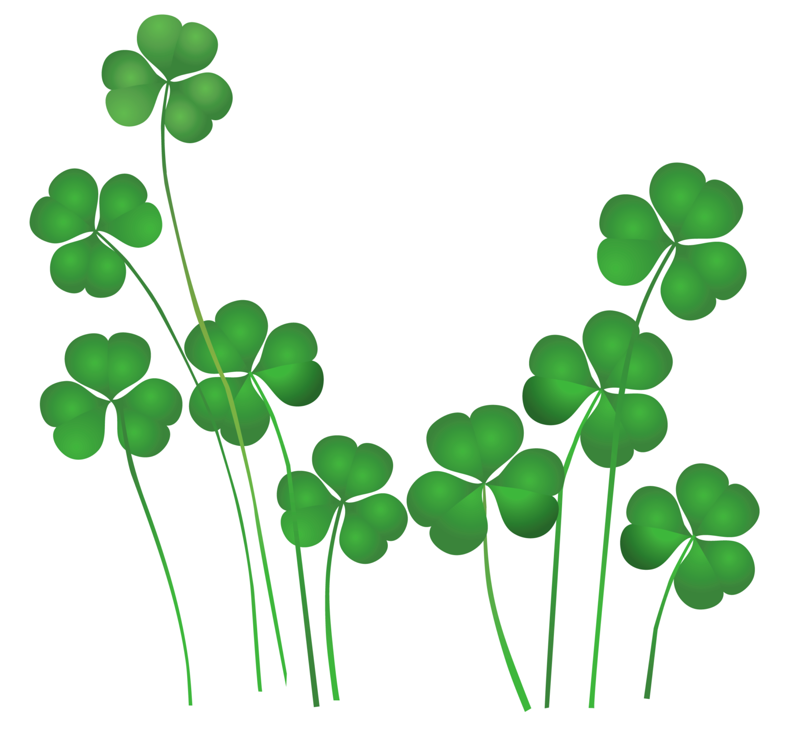 How to Draw a Shamrock Step By Step – For Kids & Beginners