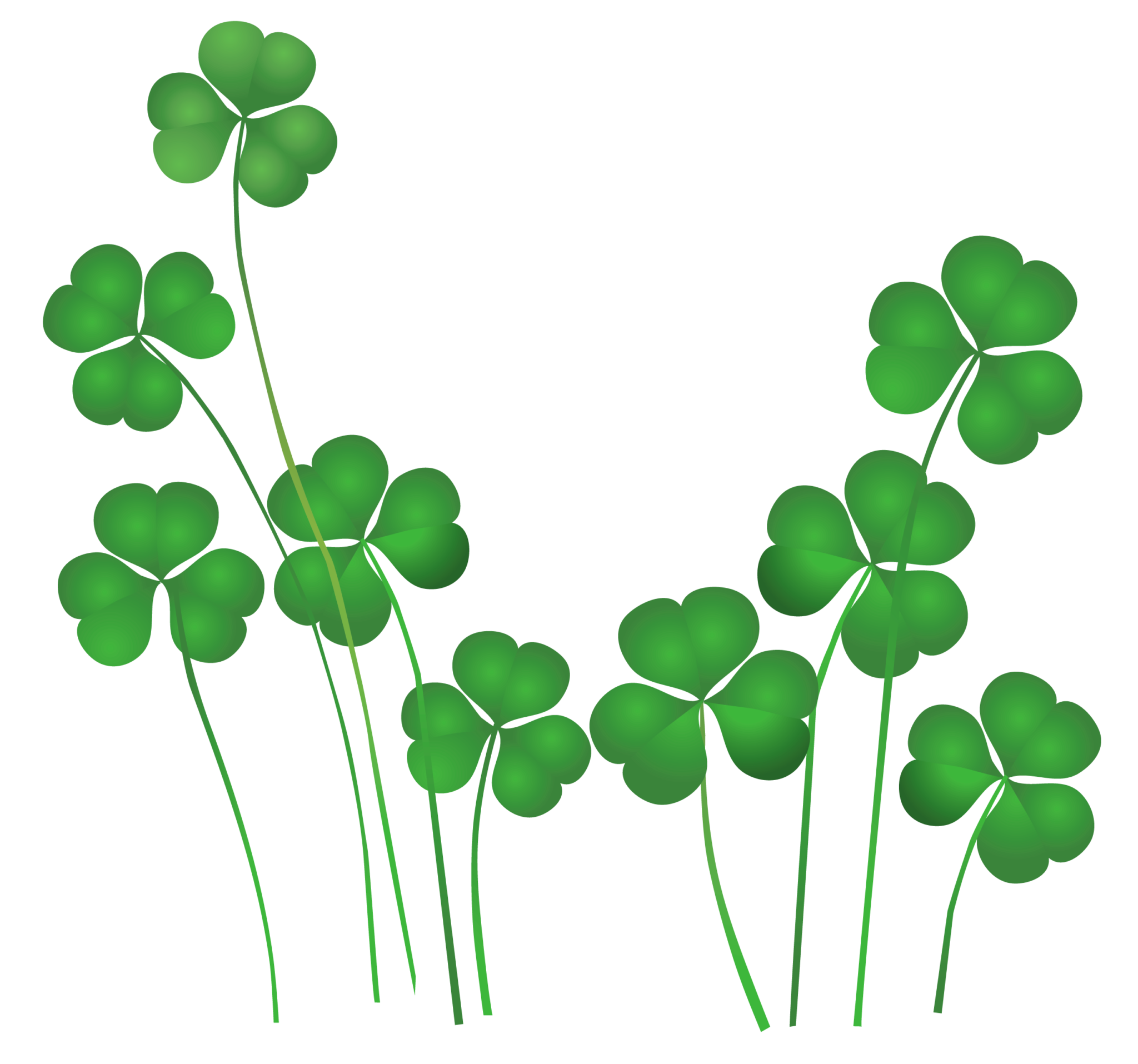 How to Draw a Shamrock Step By Step – For Kids & Beginners
