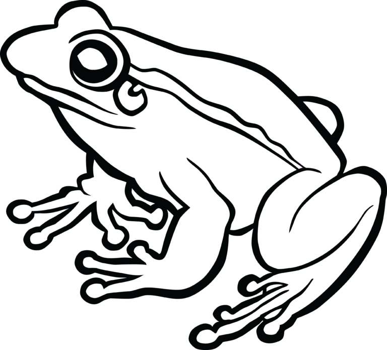 How to Draw A Frog Step By Step - For Kids & Beginners
