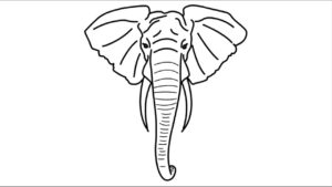 How to Draw an Elephant Step By Step – For Kids & Beginners