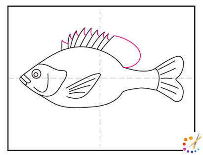 How to Draw A Fish Step By Step - For Kids & Beginners