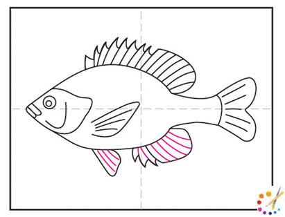 How to Draw A Fish Step By Step - For Kids & Beginners