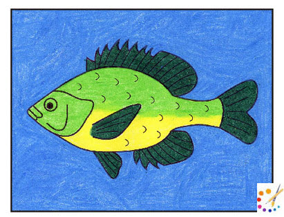How to Draw A Fish Step By Step - For Kids & Beginners