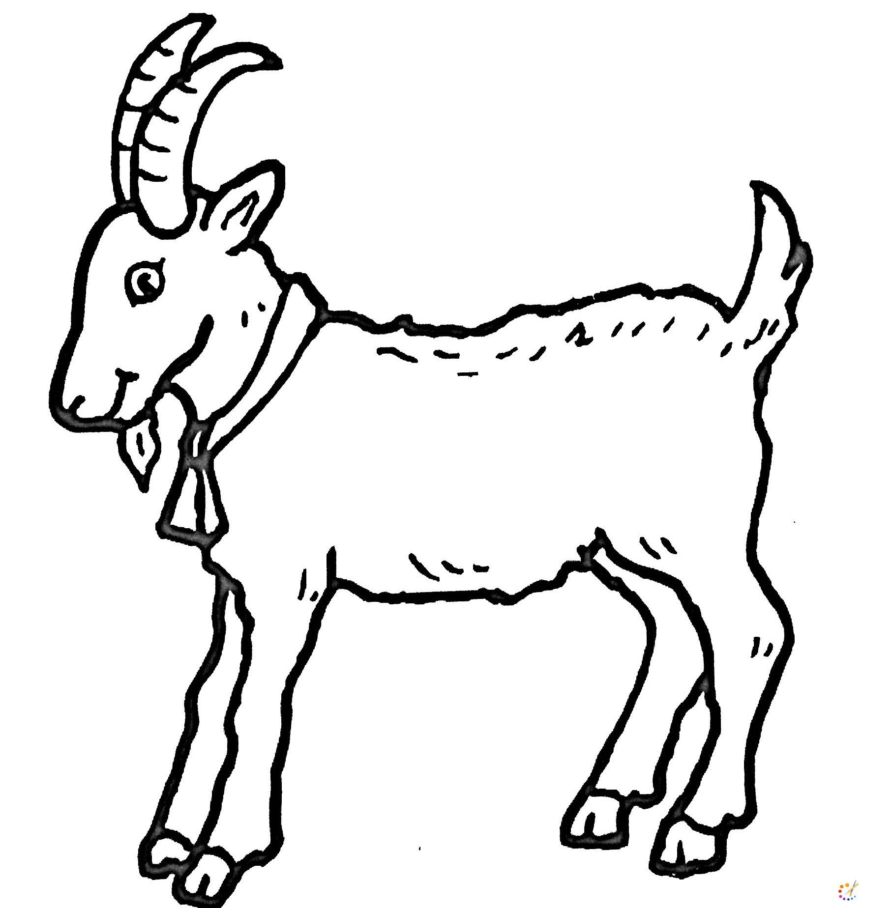 How To Draw a Goat Step By Step - For Kids & Beginners