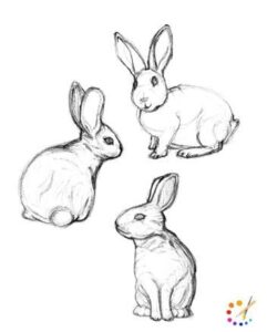 How to Draw Rabbit Step By Step - For Kids & Beginners