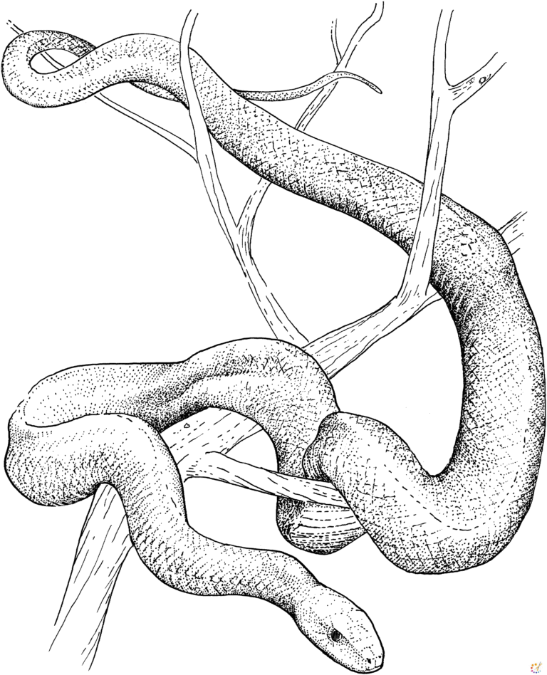 How to Draw A Snake Step By Step - For Kids & Beginners