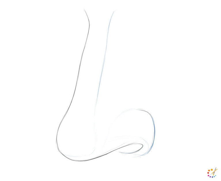 How to Draw A Nose Step By Step - For Kids & Beginners