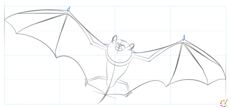 How to Draw Bat Step By Step – For Kids & Beginners