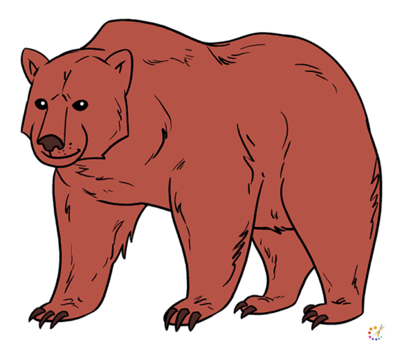 How to Draw a Bear Step By Step – For Kids & Beginners
