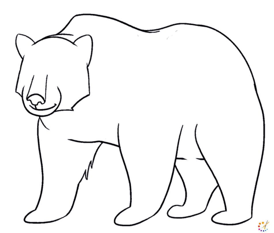 How to Draw a Bear Step By Step – For Kids & Beginners