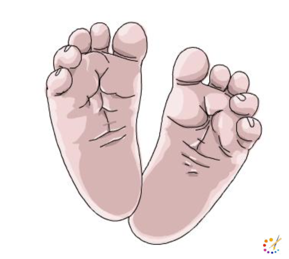 How to draw Feet Step By Step – For Kids & Beginners