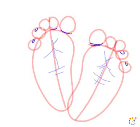 How to draw Feet Step By Step – For Kids & Beginners