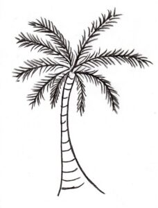 How to draw a Palm Tree step by step for kids and beginners