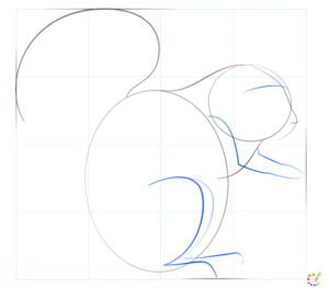 How to draw a Squirrel Step By Step – For Kids & Beginners