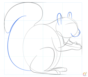 How to draw a Squirrel Step By Step – For Kids & Beginners