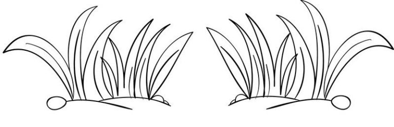 How to Draw Grass Step By Step – For Kids & Beginners