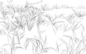 How to Draw Grass Step By Step – For Kids & Beginners