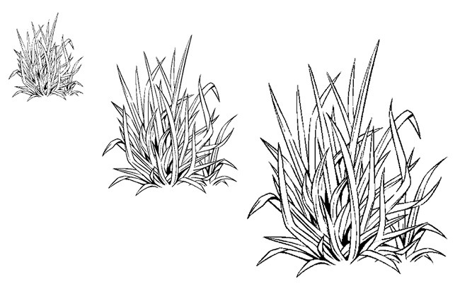 How to Draw Grass Step By Step – For Kids & Beginners