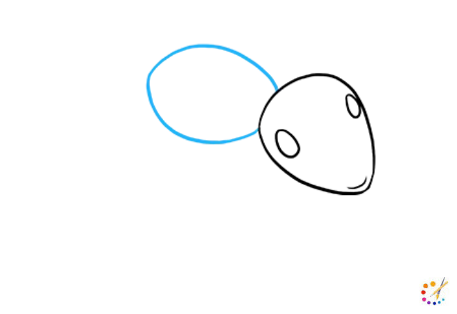 How to Draw an ant Step By Step – For Kids & Beginners