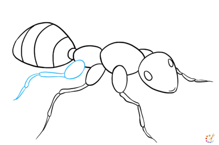 How to Draw an ant Step By Step – For Kids & Beginners