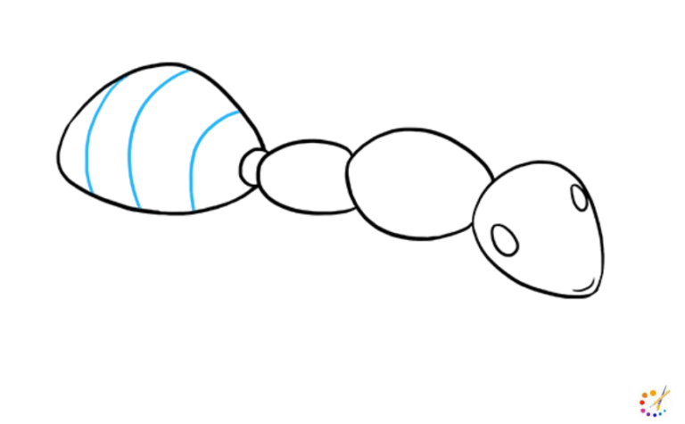 How to Draw an ant Step By Step – For Kids & Beginners