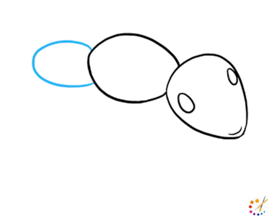 How to Draw an ant Step By Step – For Kids & Beginners