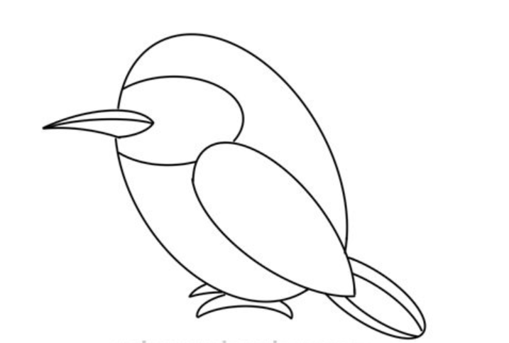 How to draw a Kingfisher Step By Step – For Kids & Beginners