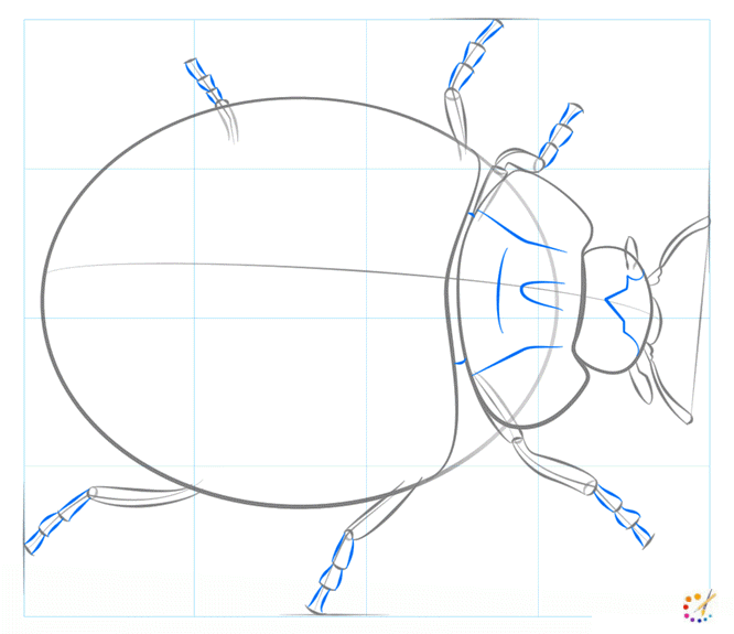 How to Draw a Ladybug Step By Step – For Kids & Beginners