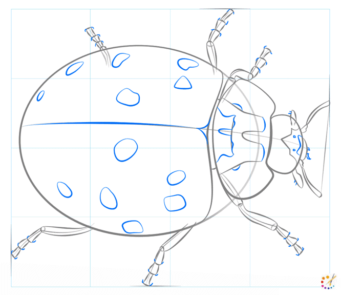 How to Draw a Ladybug Step By Step – For Kids & Beginners