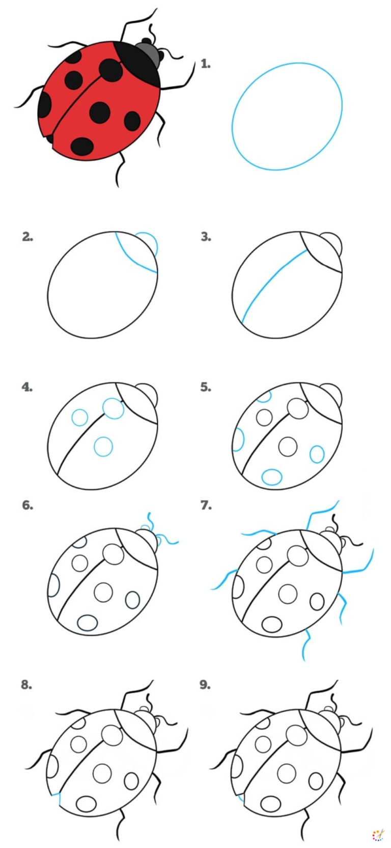 How to Draw a Ladybug Step By Step – For Kids & Beginners