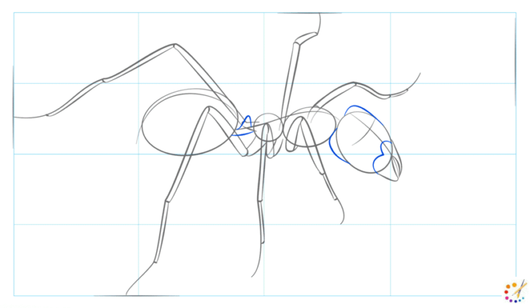 How to Draw an ant Step By Step – For Kids & Beginners