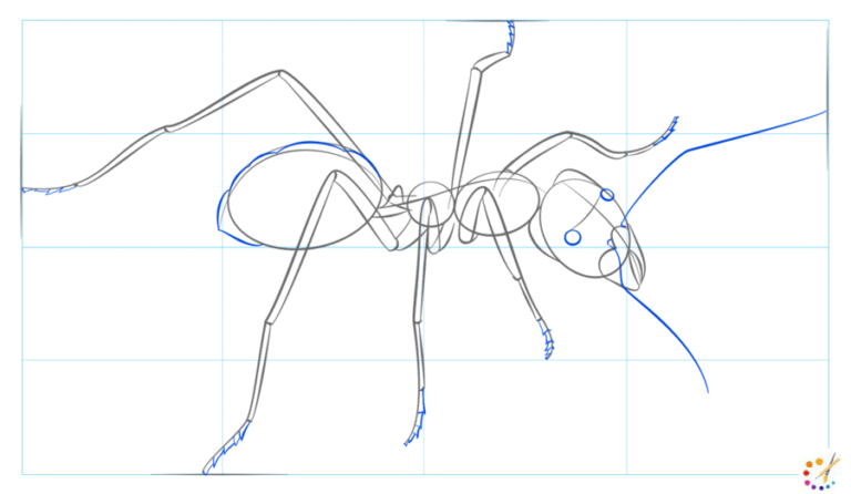 How to Draw an ant Step By Step – For Kids & Beginners