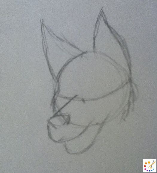 How to Draw furry Step by Step - For Kids & Beginners