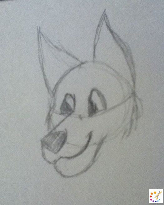 How to Draw furry Step by Step - For Kids & Beginners