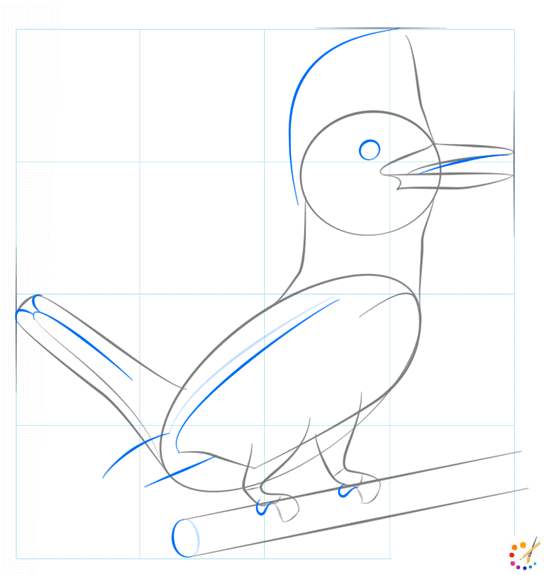 How to draw a Kingfisher Step By Step – For Kids & Beginners