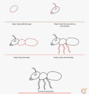 How to Draw an ant Step By Step – For Kids & Beginners