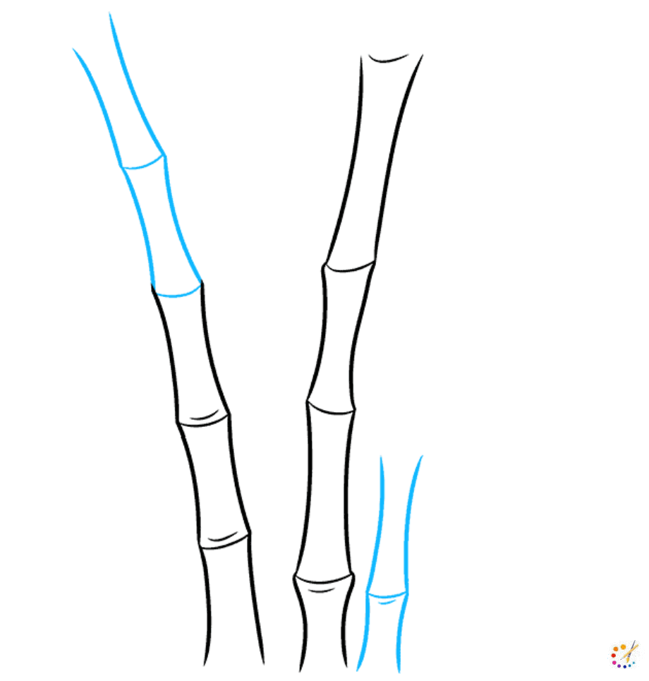 How to Draw Bamboo Step By Step – For Kids & Beginners