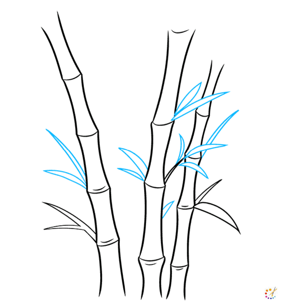 How to Draw Bamboo Step By Step – For Kids & Beginners