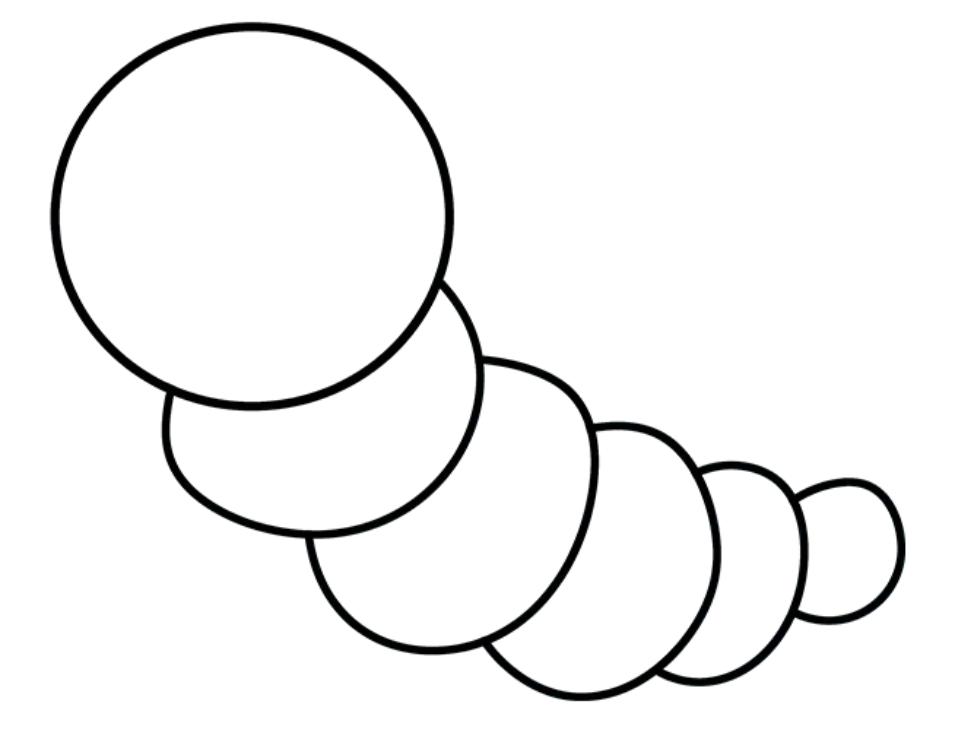 How to draw a caterpillar Step By Step – For Kids & Beginners