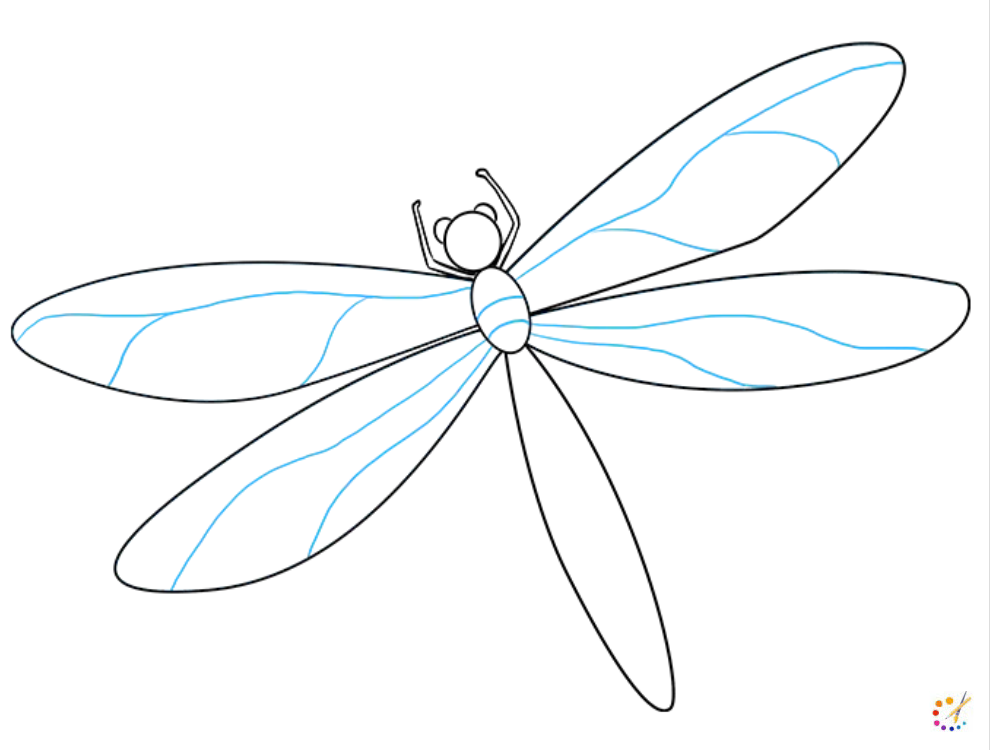 How to draw a Dragonfly Step By Step – For Kids & Beginners