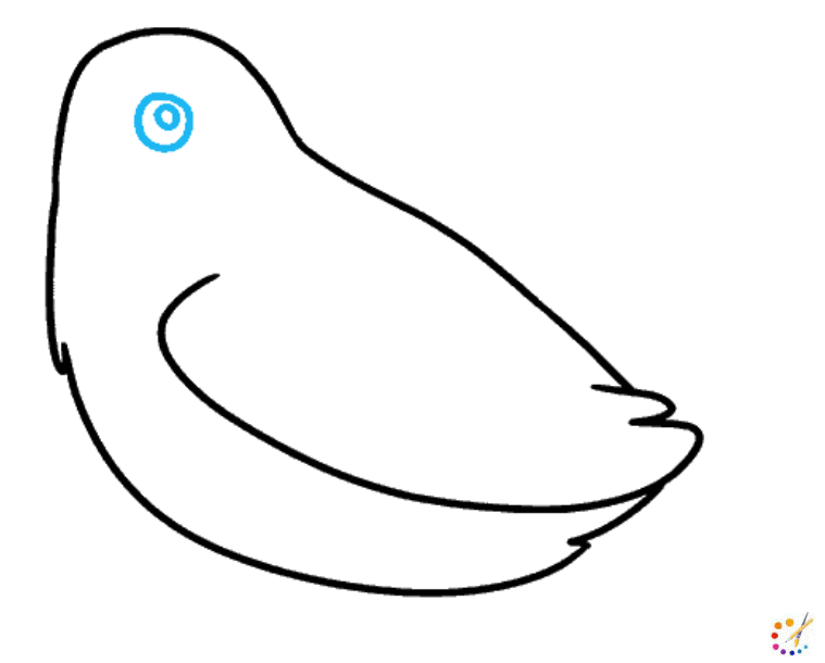 How to Draw a sparrow Step By Step – For Kids & Beginners