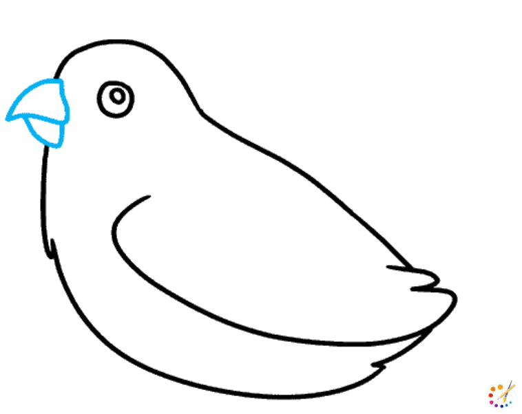 How to Draw a sparrow Step By Step – For Kids & Beginners