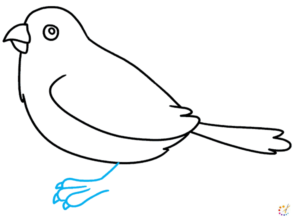 How to Draw a sparrow Step By Step – For Kids & Beginners