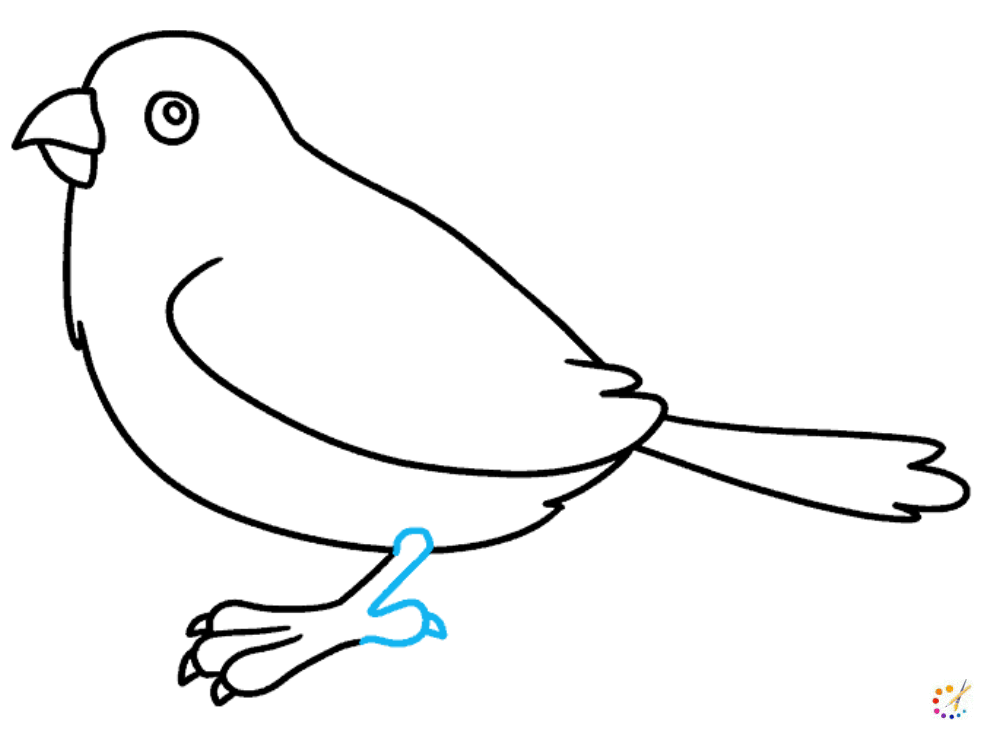 How to Draw a sparrow Step By Step – For Kids & Beginners