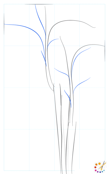 How to Draw Bamboo Step By Step – For Kids & Beginners