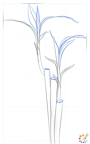 How to Draw Bamboo Step By Step – For Kids & Beginners