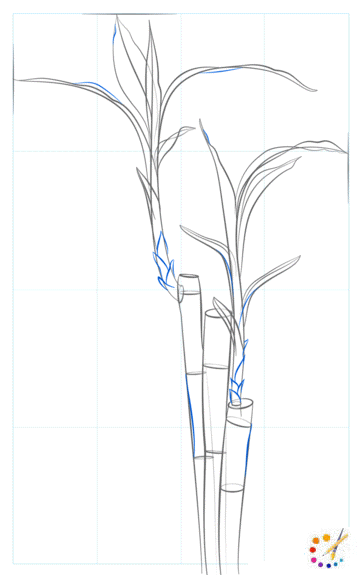 How to Draw Bamboo Step By Step – For Kids & Beginners