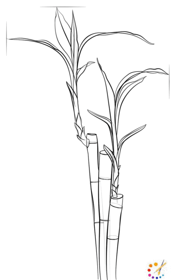How to Draw Bamboo Step By Step – For Kids & Beginners